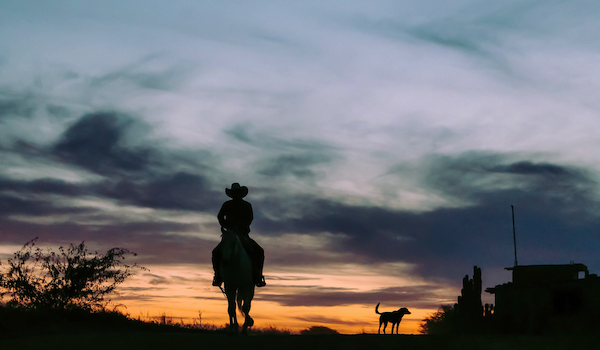 Humane Livestock Hauling Services Across Canada & U.S. | West Land ...